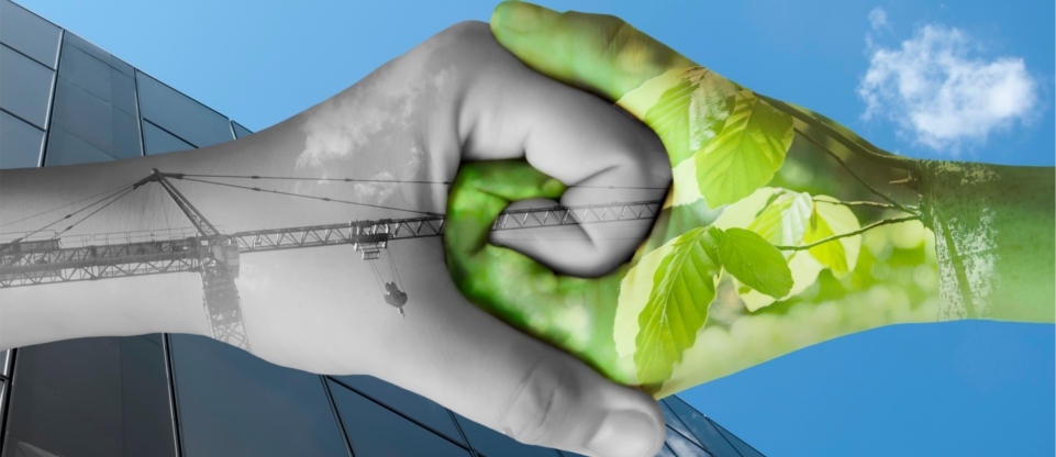 What are the Basic Principles of ISO 26000 Social Responsibility ...