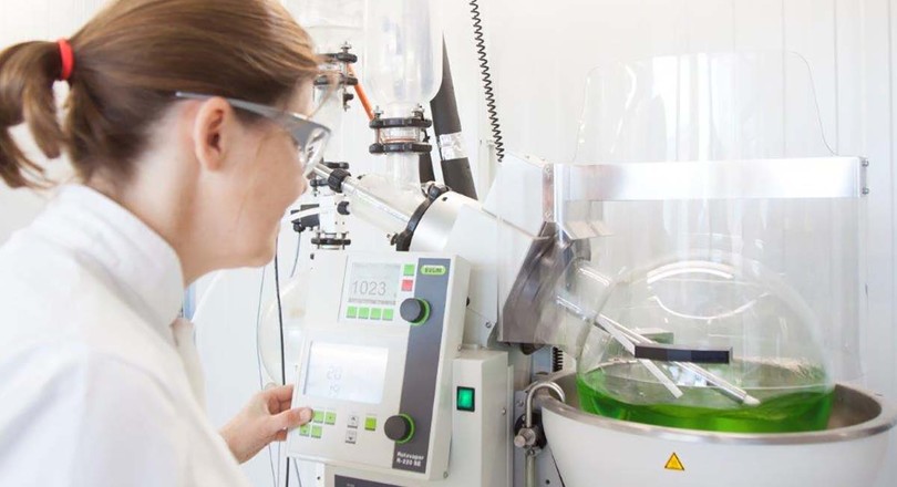 Laboratory Special Analysis - PCBs